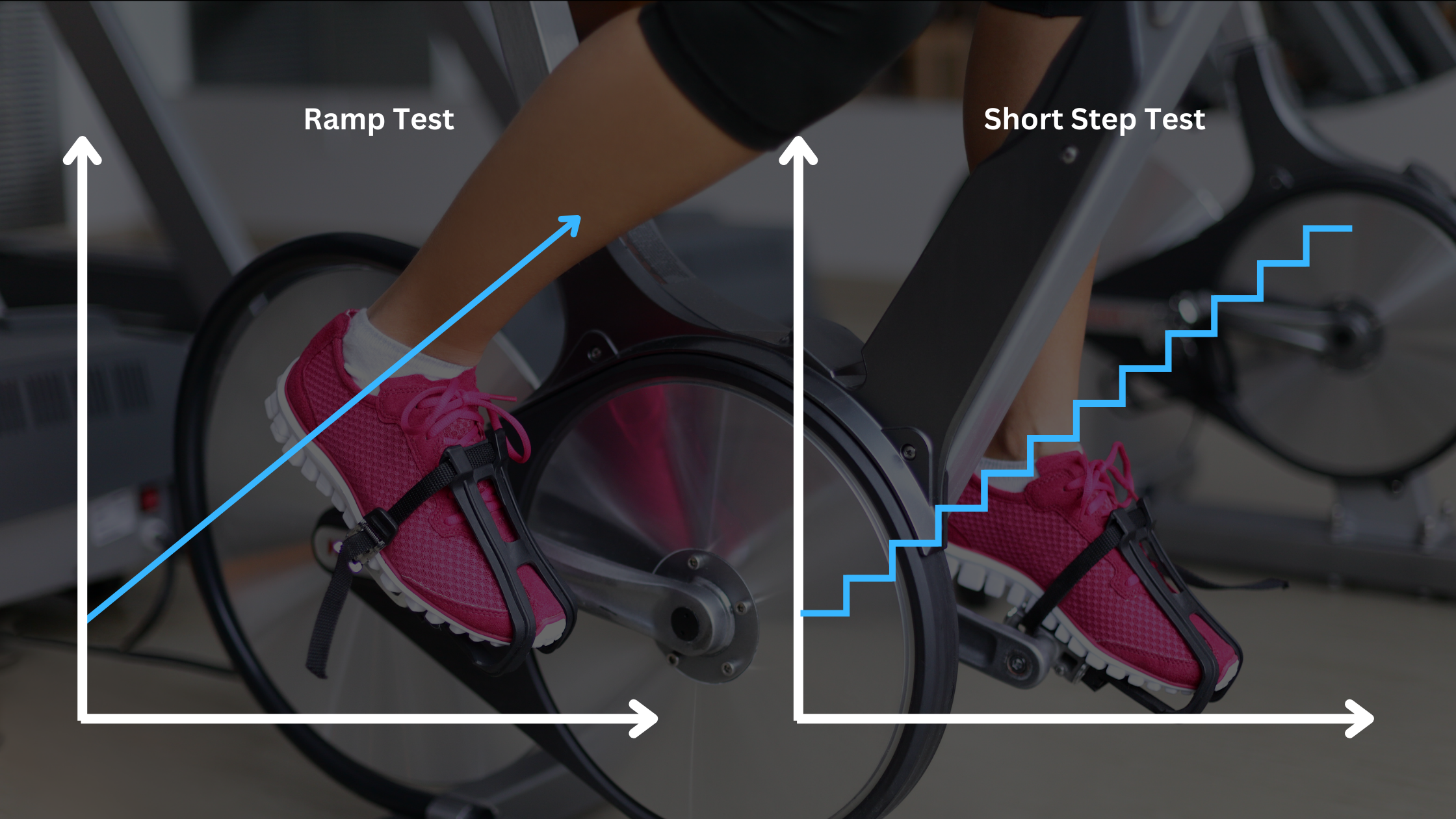 Limitations of Ramp and Short Step Tests for Physiological Training Zones